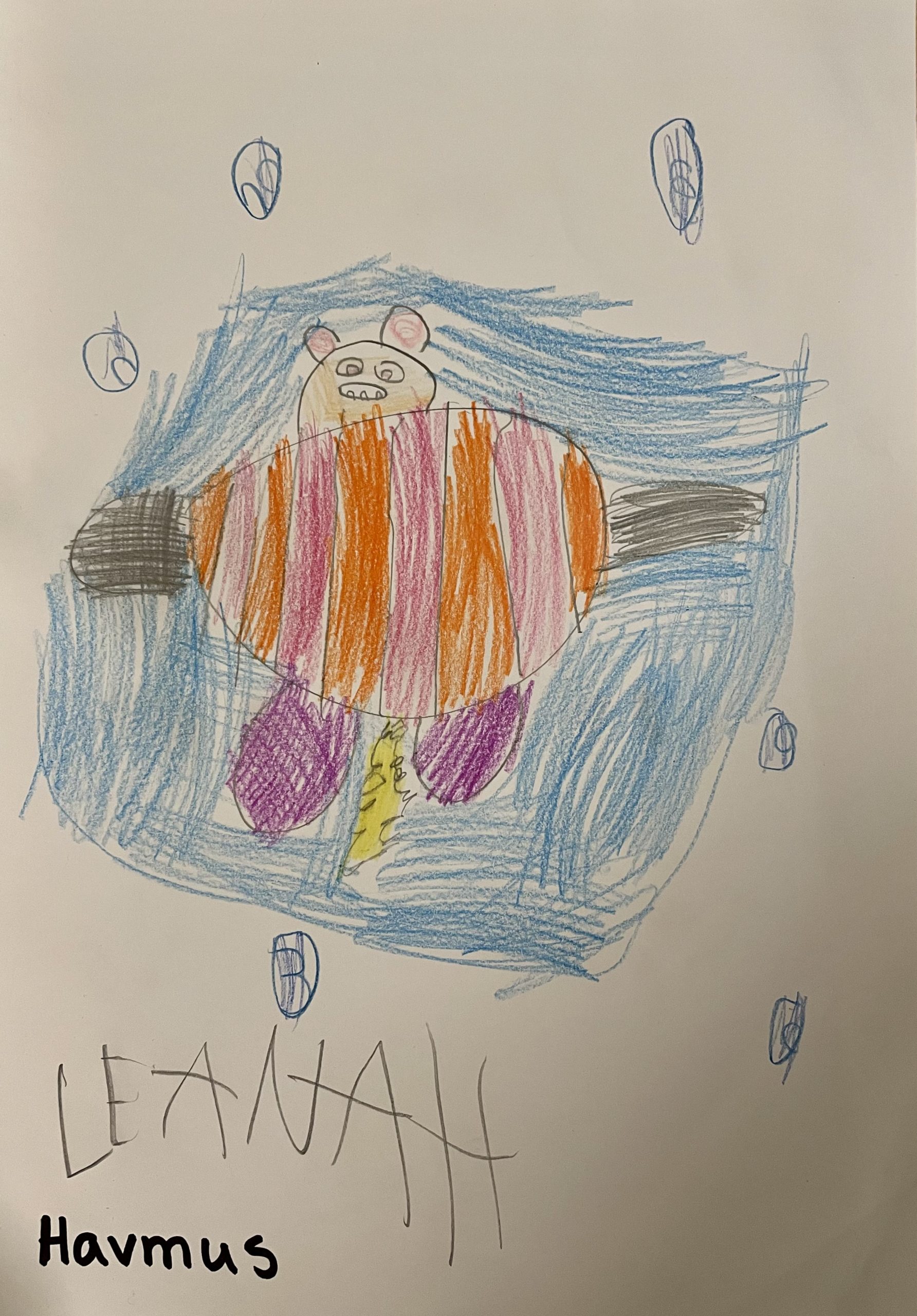 Luke 16: Havmus – Marinbiologene